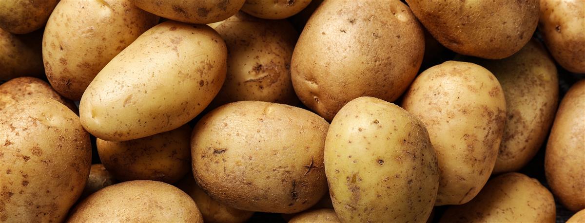 Krumpir | Index Recepti