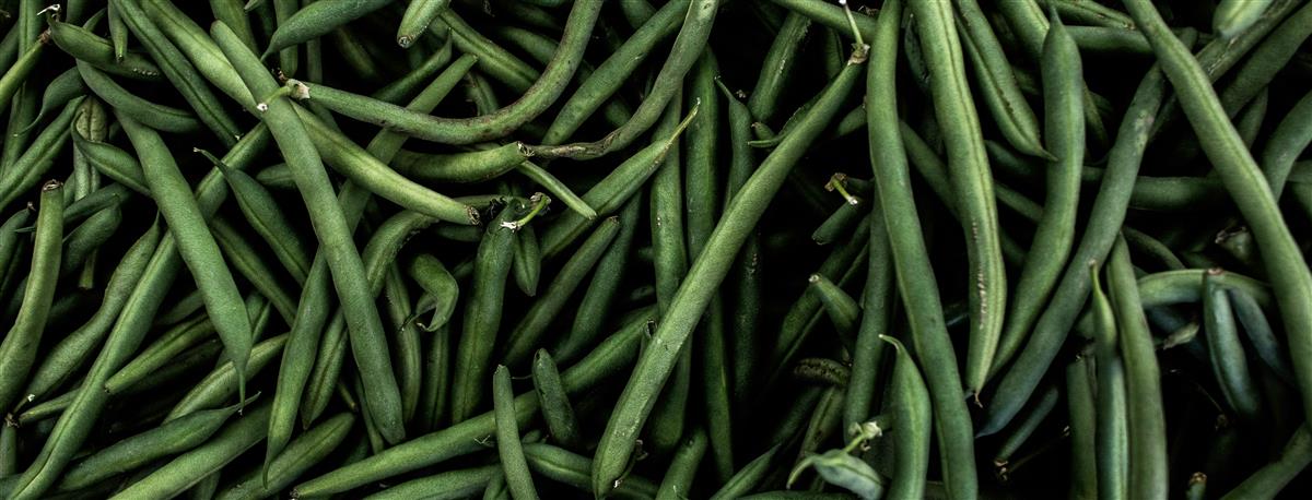 Mahuna | Index Recepti