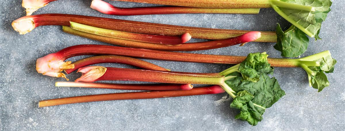 Rabarbara | Index Recepti