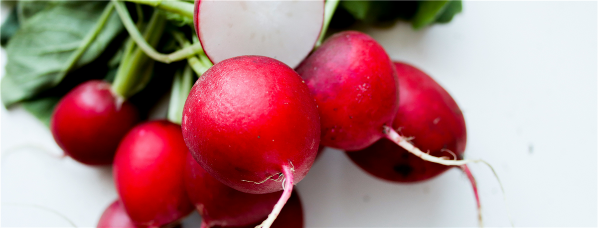 Rotkvica | Index Recepti