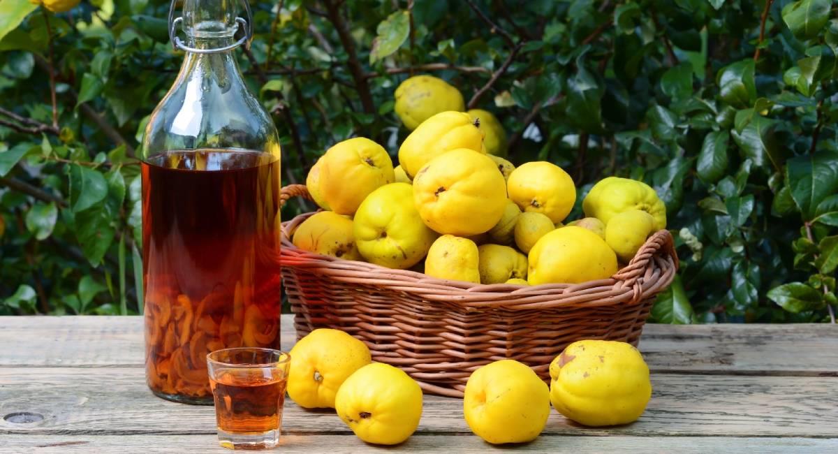 Domaći liker od dunje | Index Recepti