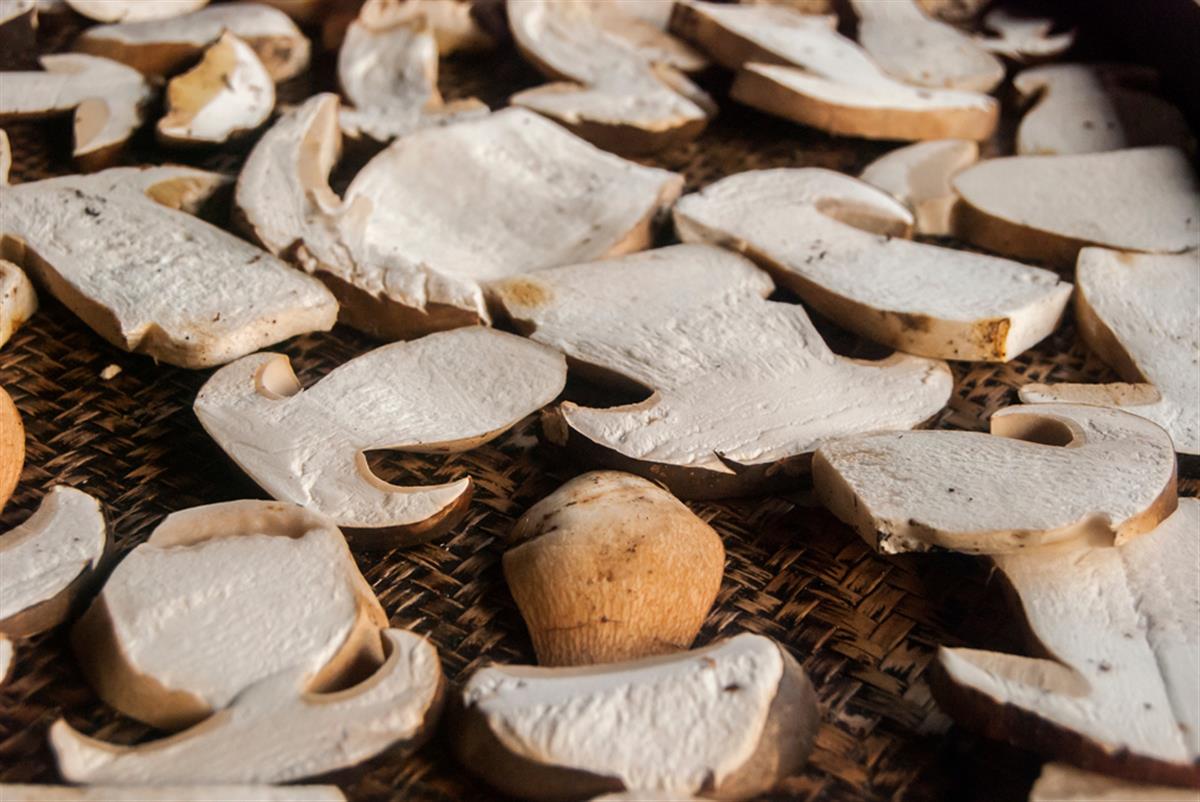 Sušeni vrganji | Index Recepti